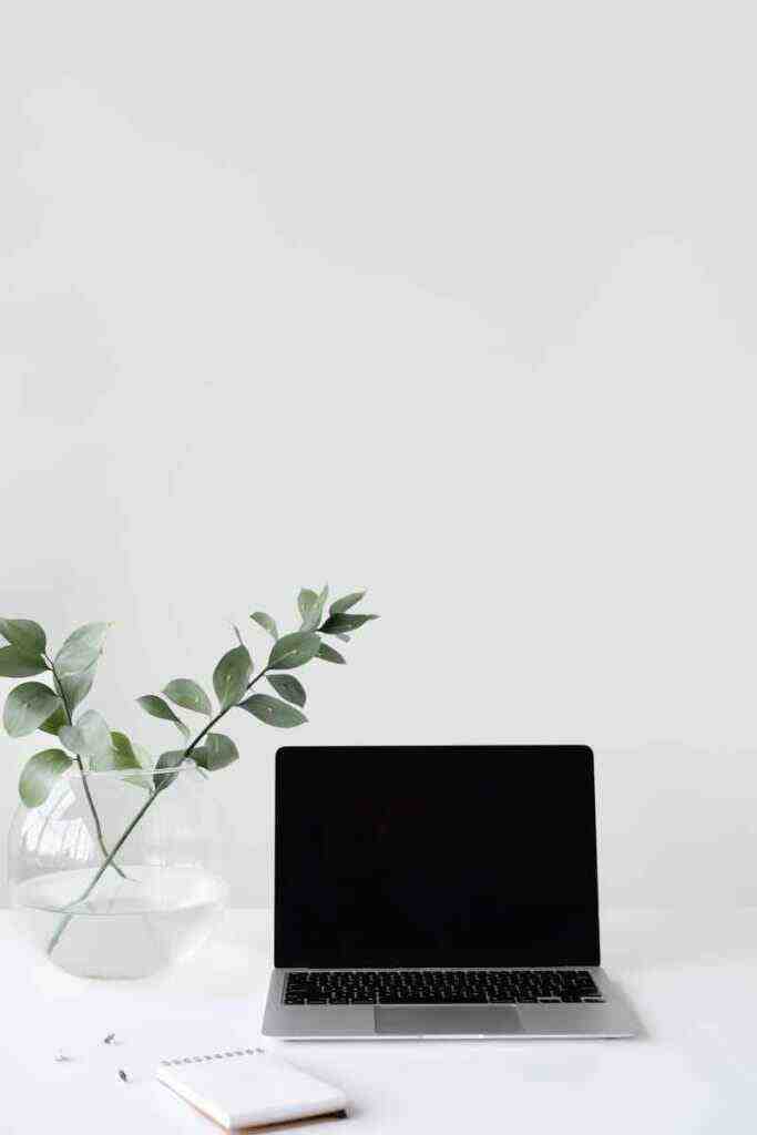 Experience the Thrill of Sound Voltex on Your PC: A Step-by-Step Guide - Techly - Daily Ai And ...