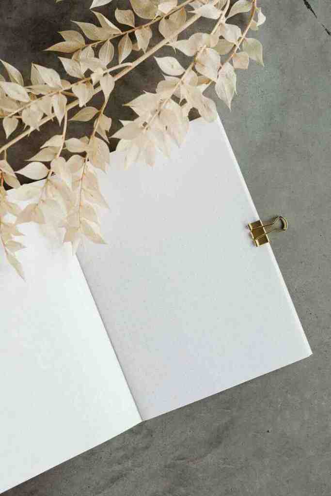 Bring Tomodachi Life to Your PC: A Step-by-Step Guide - Techly - Daily ...